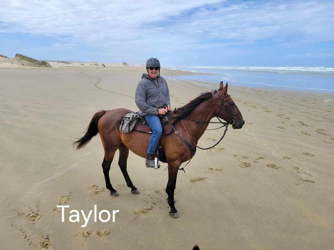 Home - Heaven On Horseback Limited